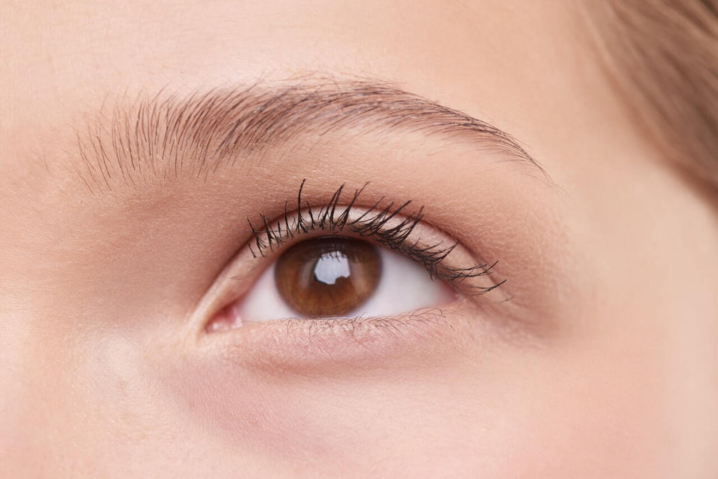 The Ultimate Guide to Saving Thin Eyebrows